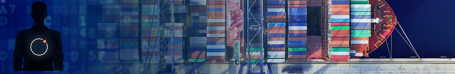 Ports & Logistics | Complexica